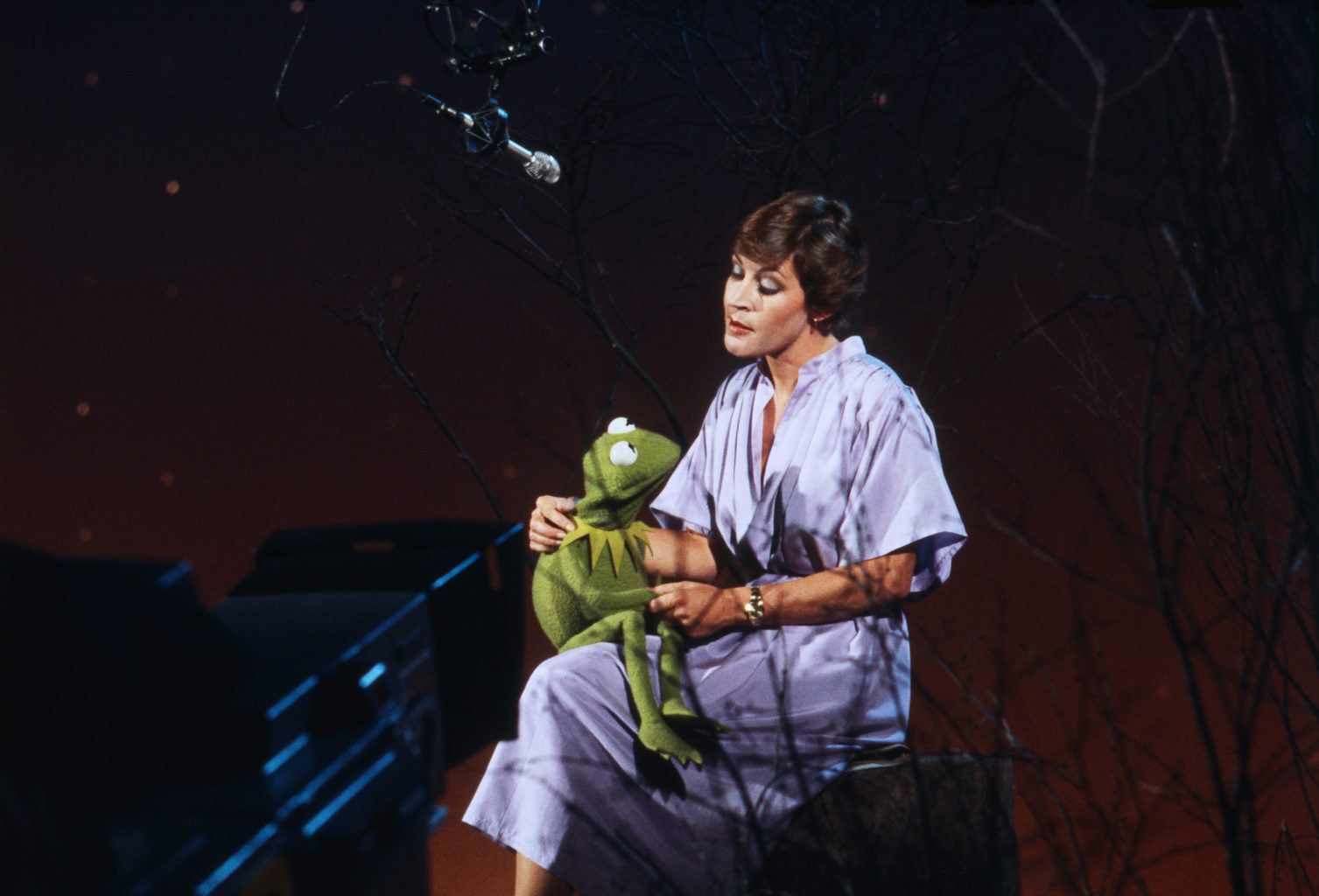 The Muppet Shows Underrated Classic Episodes You Have To Watch On ...